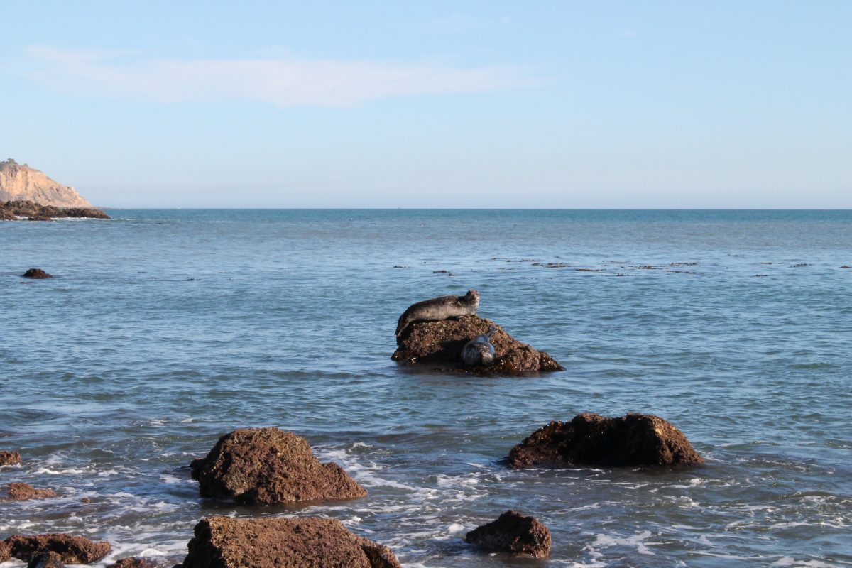 Sustainable South Bay - South Bay Cities Council of Governments